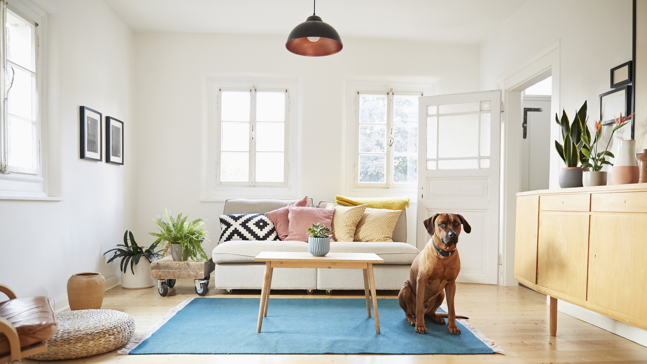 FINN torget | FINN.no